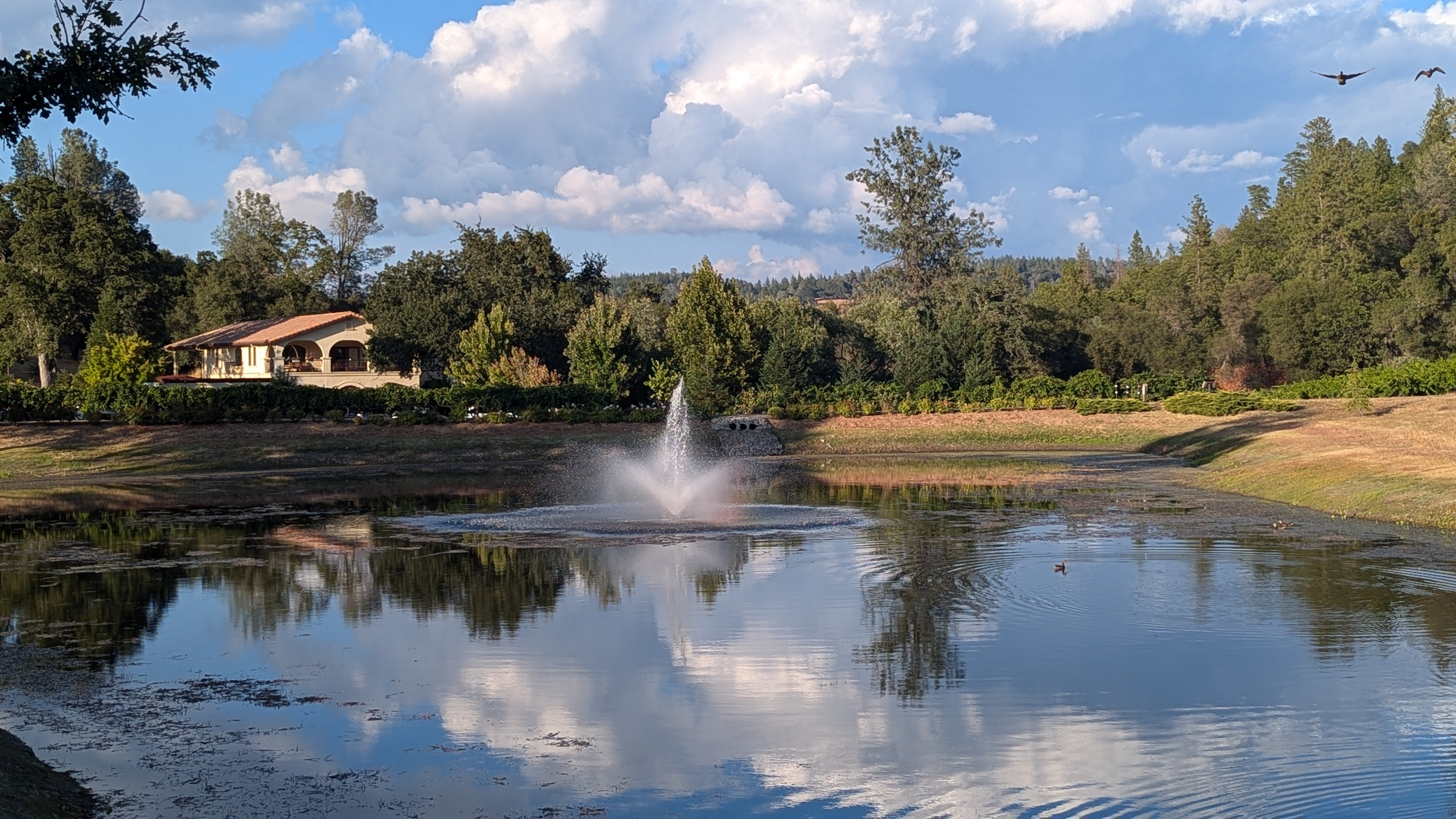 Visit – David Girard Vineyards